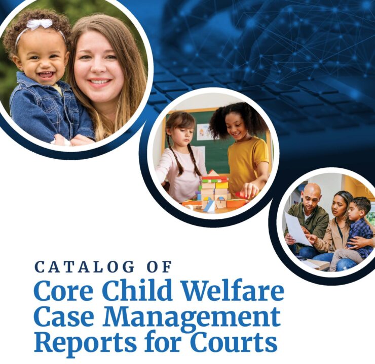 Publications Archive - NCJFCJ